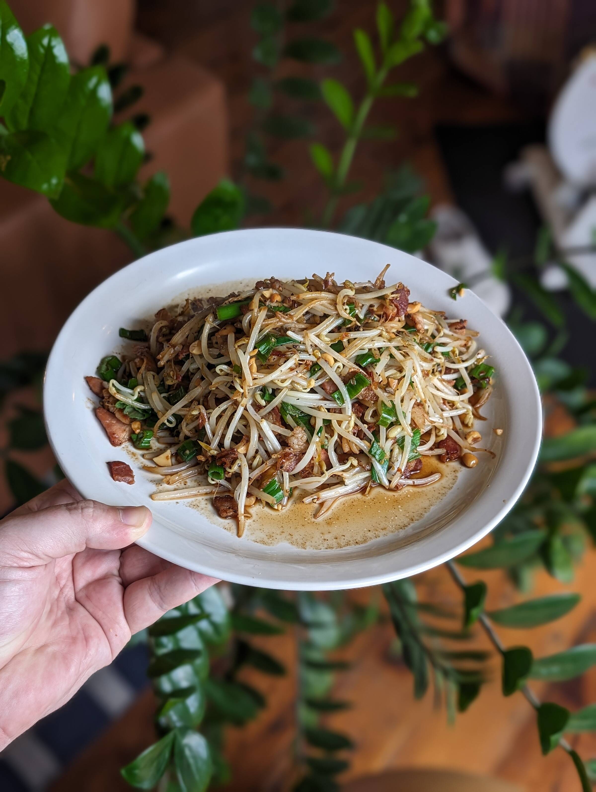 Bean Sprout Stir Fry